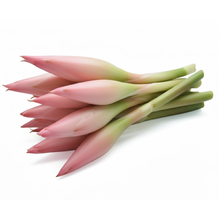 Bunga Kantan – Se-Ikat – Banktif Trading